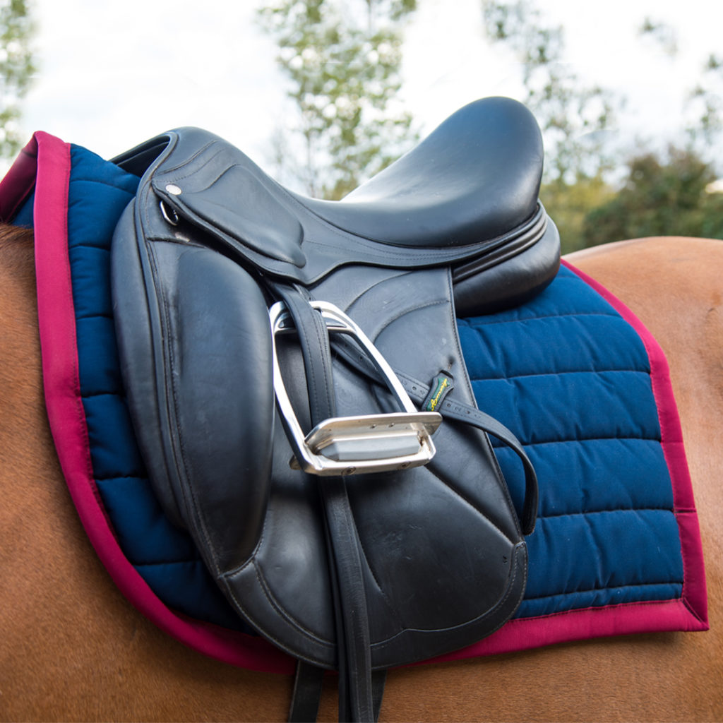 PolyPads Performer Competition Saddle Pad PolyPad - PolyPads