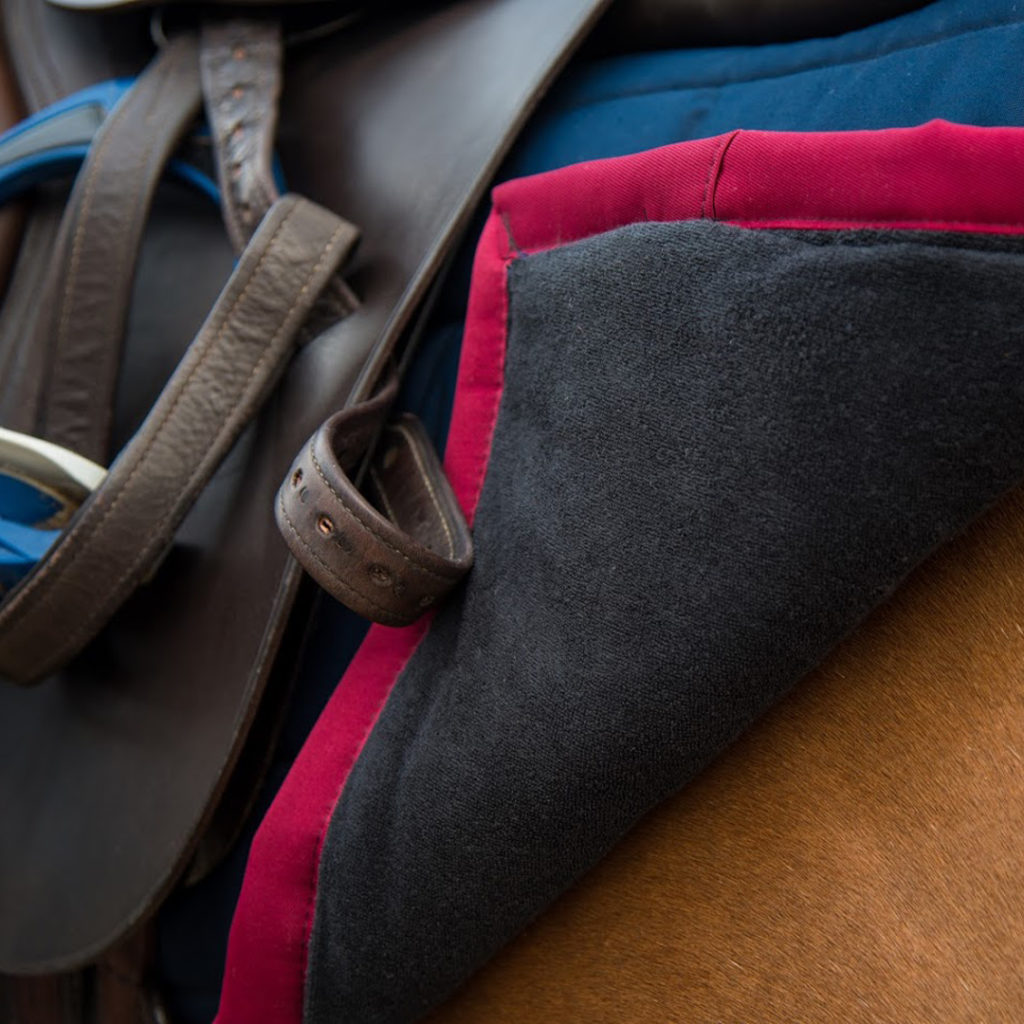 PolyPads Performer Competition Saddle Pad PolyPad - PolyPads