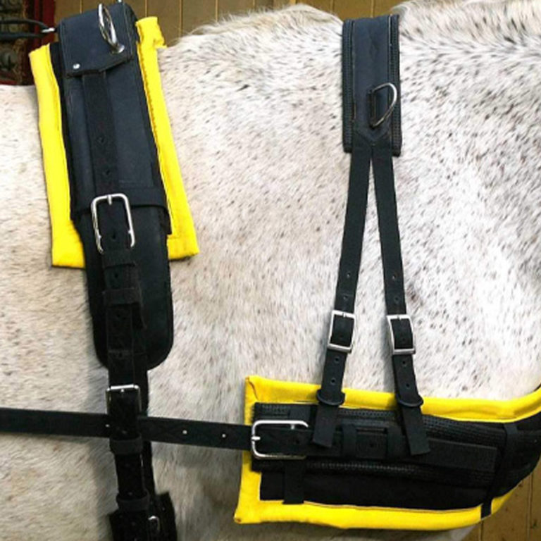 PolyPads Driving Roller Pad - PolyPads