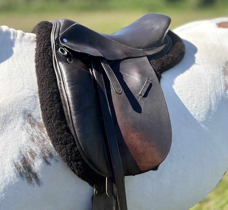Regal Saddle Pad - PolyPads